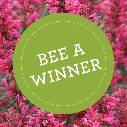 Resources for Retailers