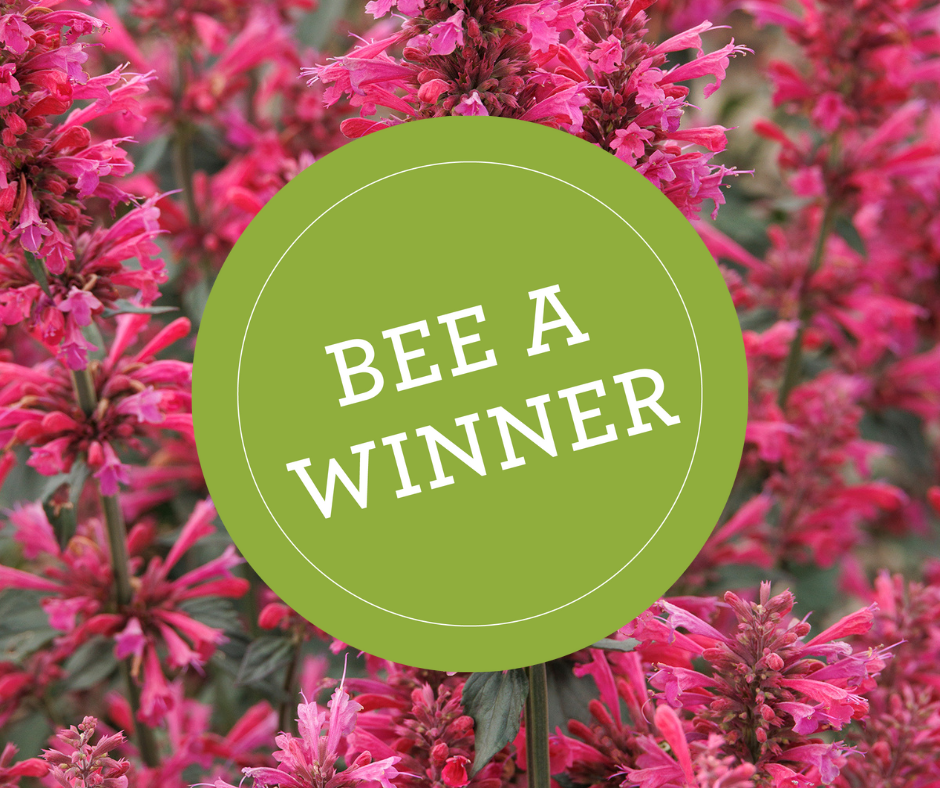 Resources for Retailers